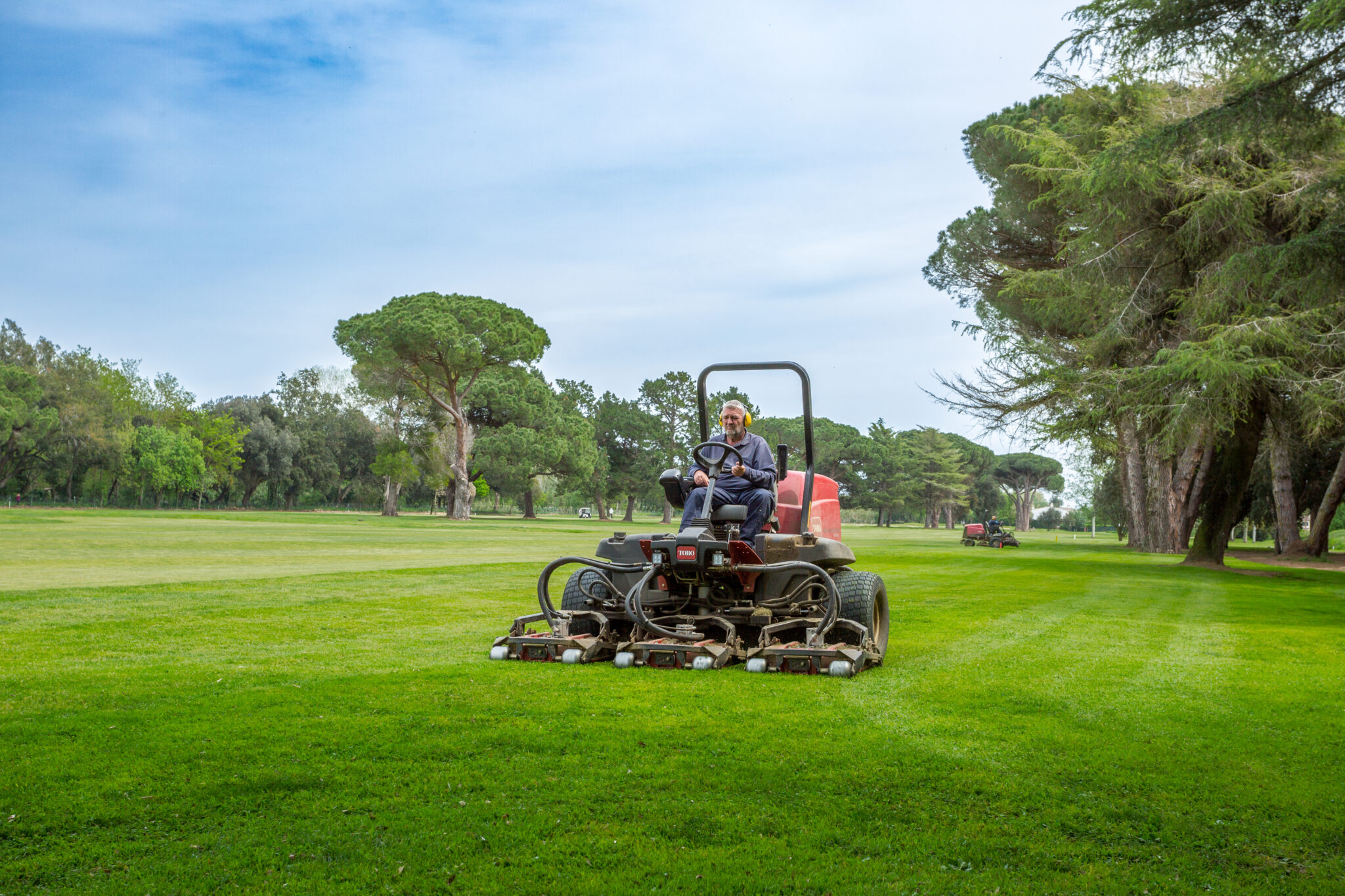 The course renews itself: this is how the overseeding work has been ...